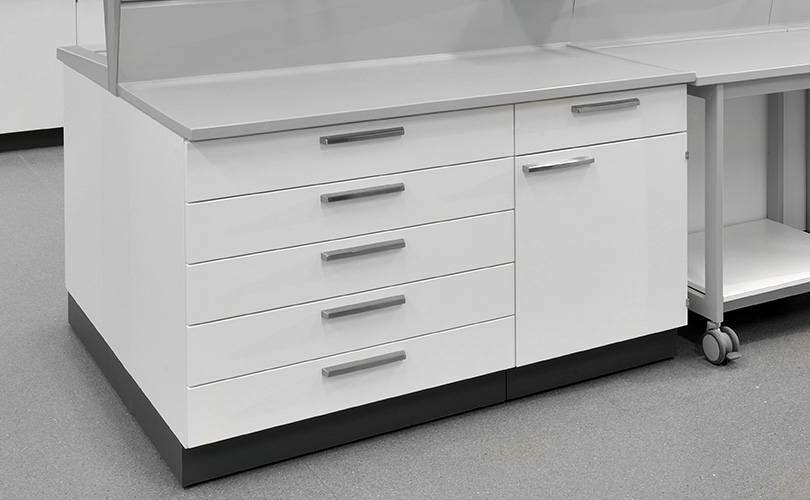 Metal Lab Cabinets | Wall & Tall Storage Cabinets | GD Waldner