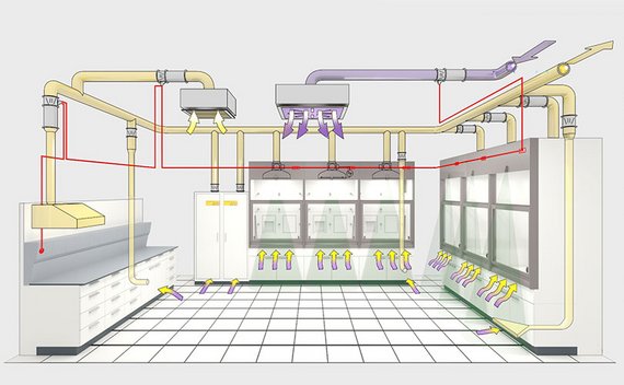 Laboratory Fume Hoods Manufacturer in India | GD Waldner